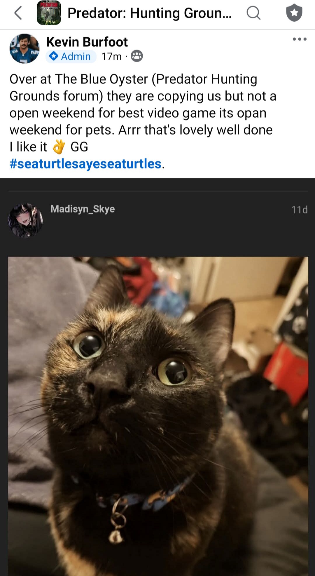 bearfoot_007 calls this group The Blue Oyster. Now say my name you ...