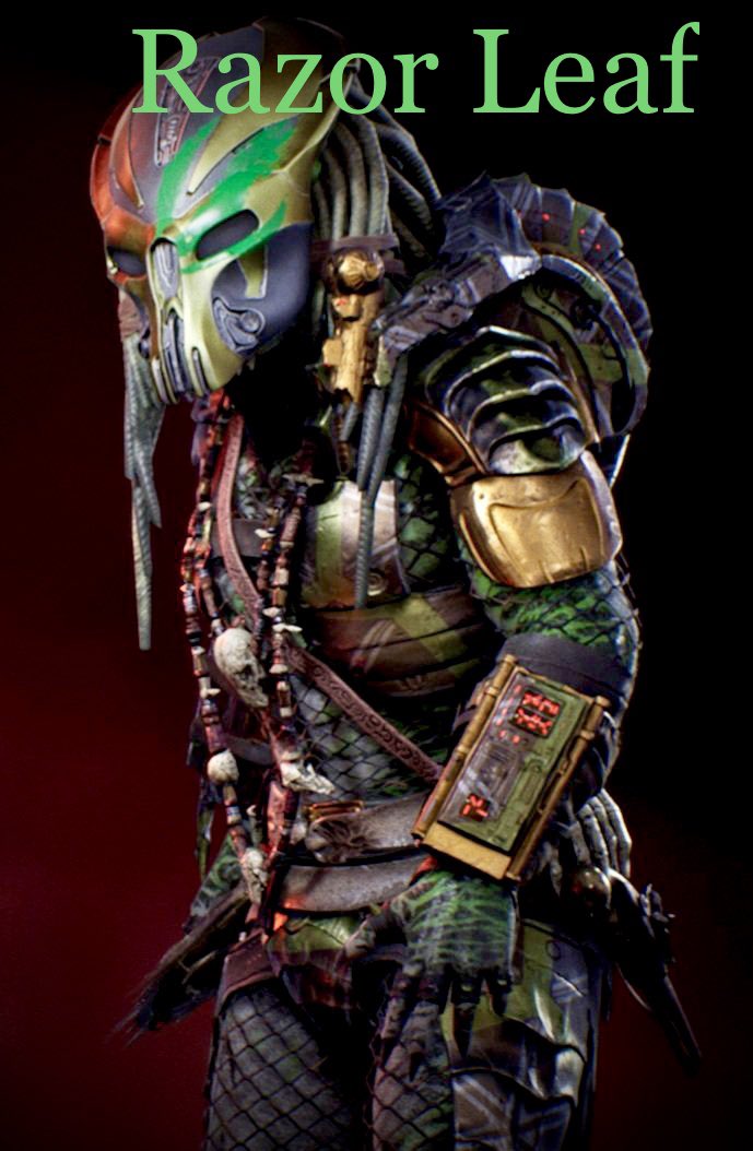 Vote for best looking Predator! - General Discussion - Predator ...